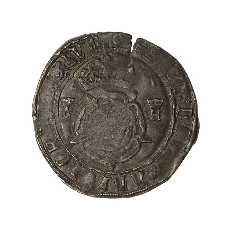 Henry VIII Silver Testoon G1946