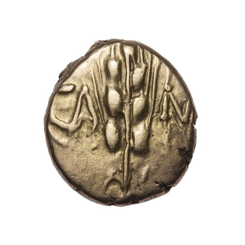 Catuvellauni 'Wild Type' Gold Quarter Stater A0138